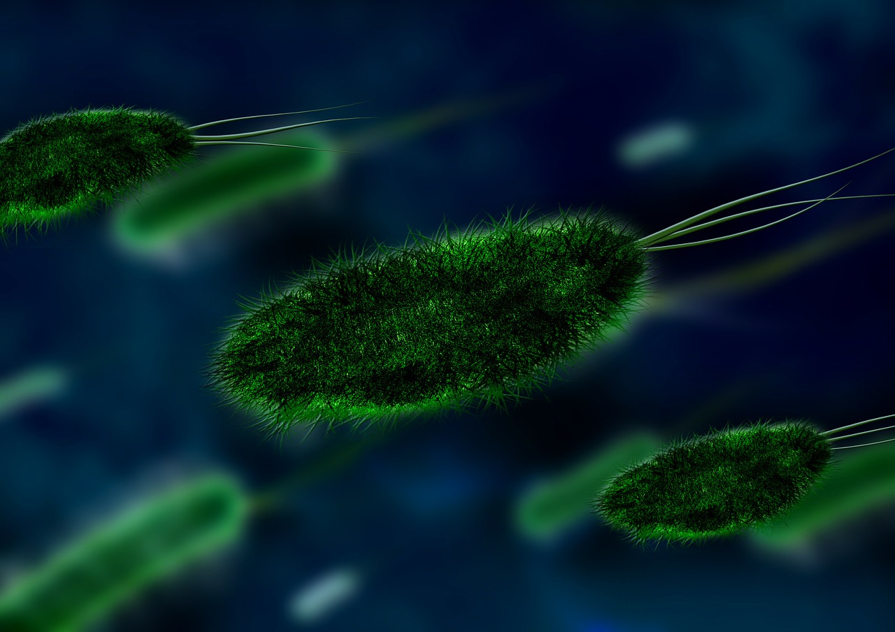 The role of bacterial metabolism in antimicrobial resistance - AMR Insights