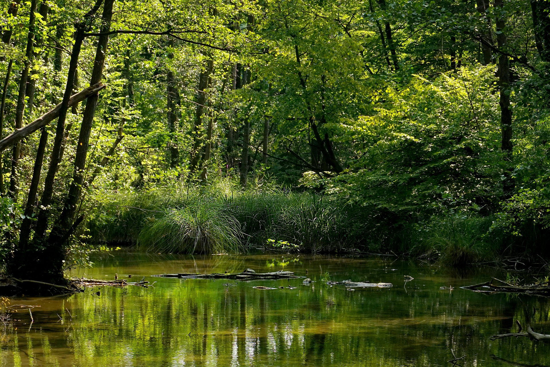 Special Issue Antimicrobial Resistance From The Environment To Human 