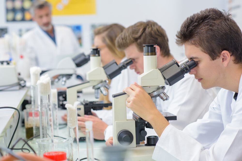 The WHO Bacterial Priority Pathogens List 2024: a prioritisation study ...