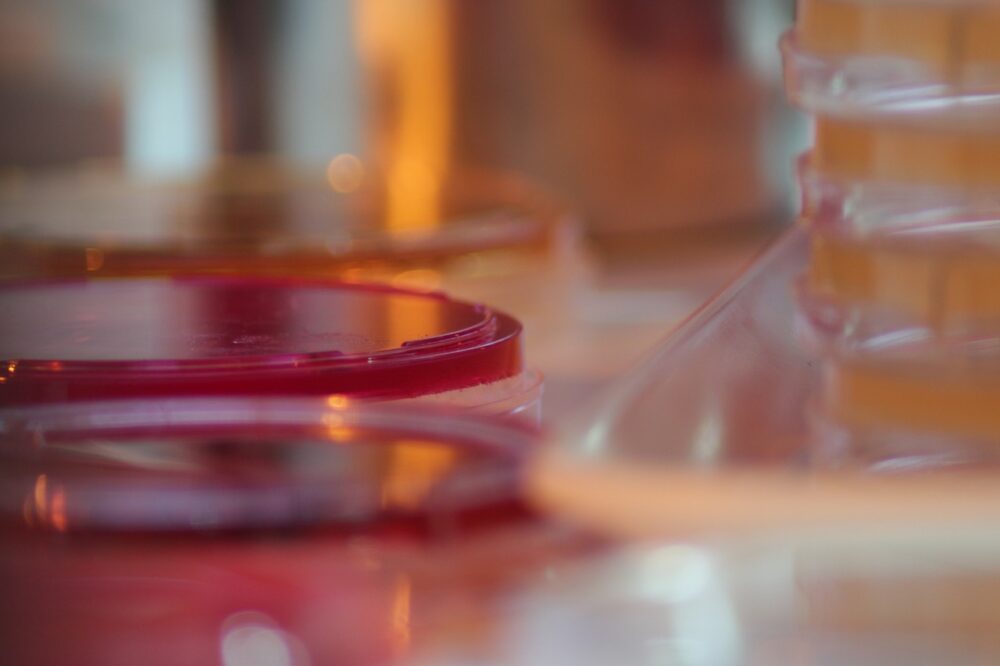 Antibiotic susceptibility testing usingminimum inhibitory concentration ...