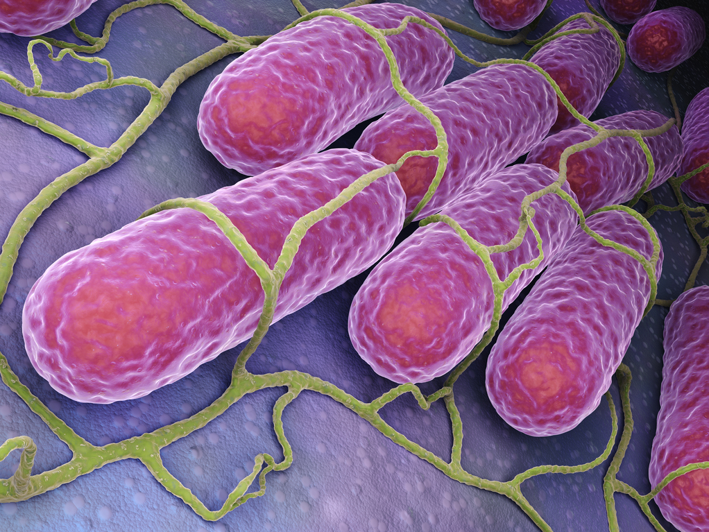 The rise of ‘nightmare bacteria’: antimicrobial resistance in five ...