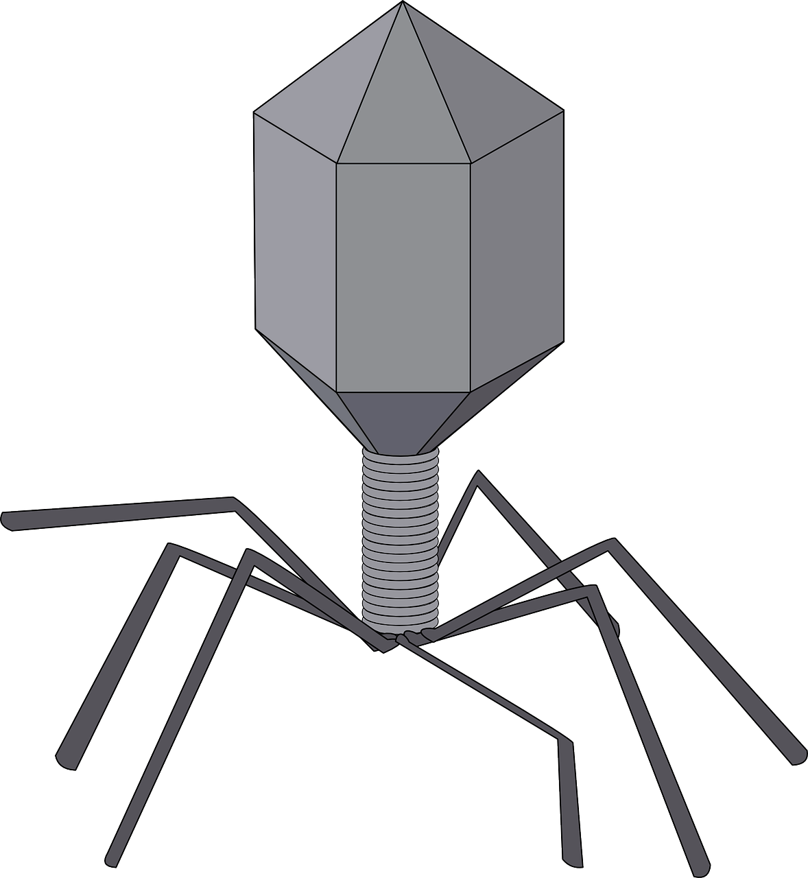 Automated phage therapy in smart hospitals: a hypothesis for an AI ...